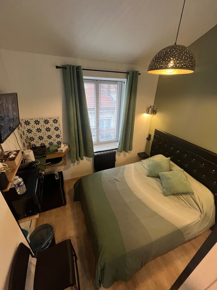 Studette Cosy Centrale Calme Historique - Saint-Étienne