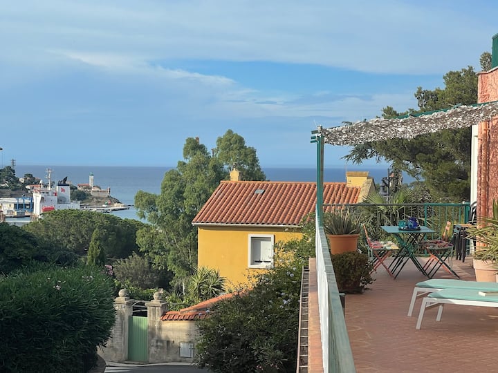 Appartement Vue Mer, Port Et Village, Terrasse - Port-Vendres