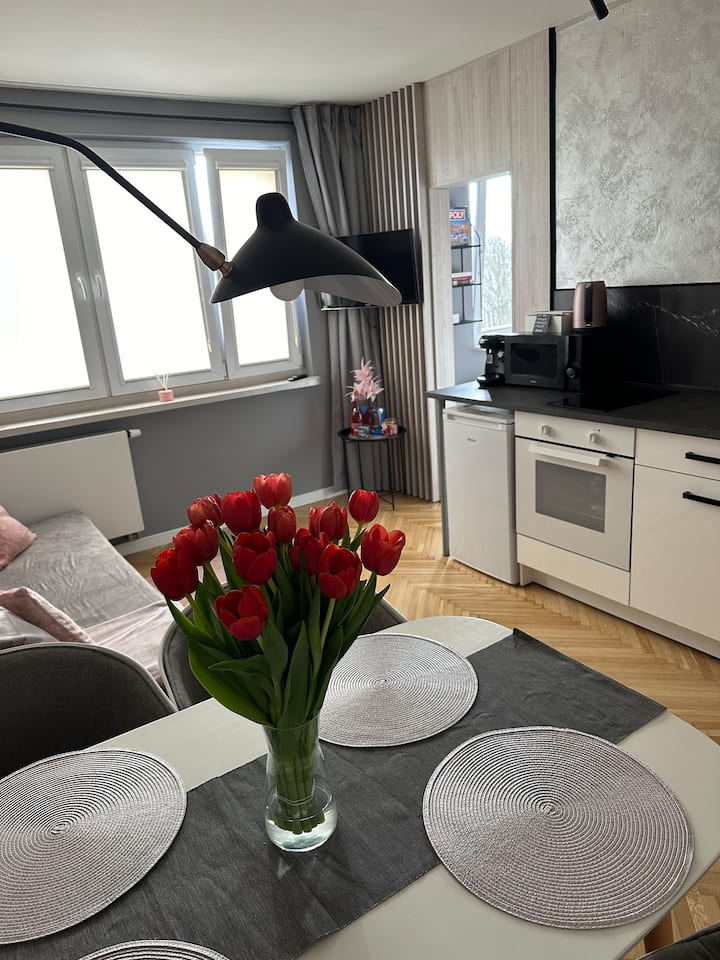 Eva Apartments - Apartament Pink - Gdansk