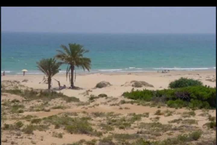 Habitación Grande Alicante - Alicante