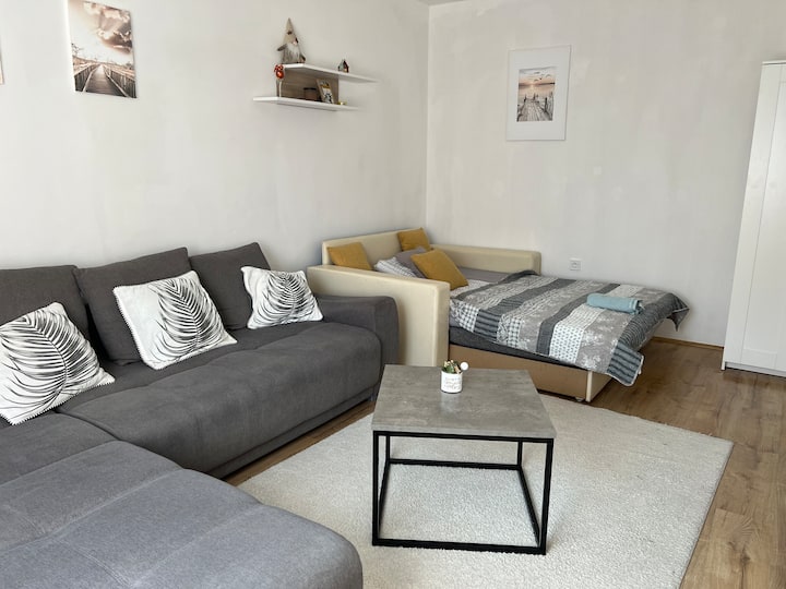 Pécs,világos,szépen Berendezett 2 Szobás Apartman - Pécs