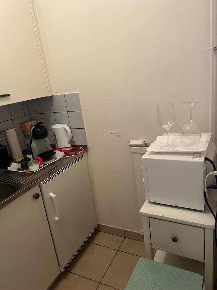 Super Studio Au Cœur Entre Lac Et Gare De Genève! - Geneva