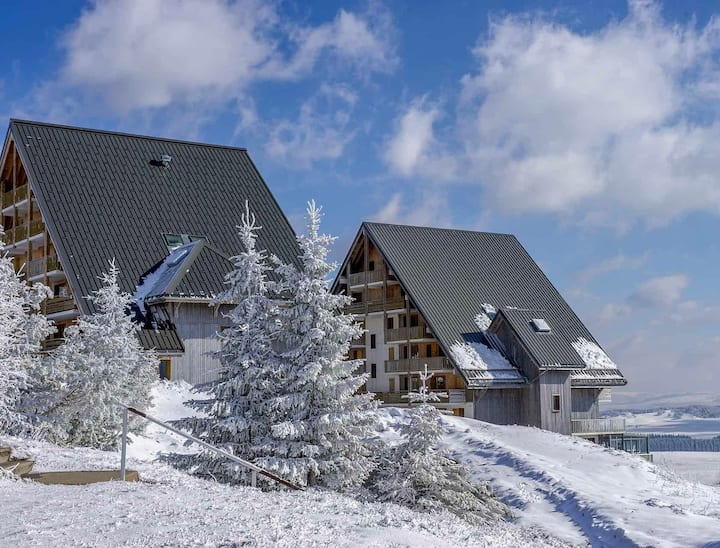 Appartement - Besse-et-Saint-Anastaise