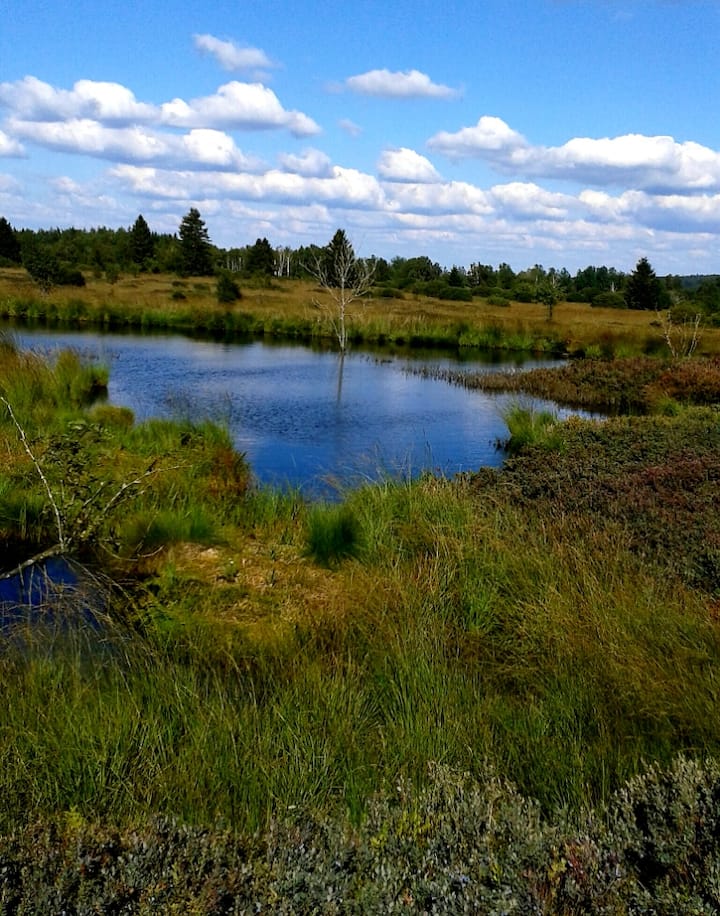 Ferienwohnung Peters - Eupen