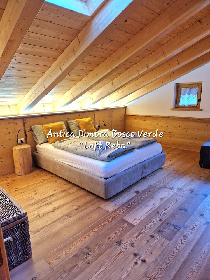 Splendido Loft Nelle Dolomiti - Arabba