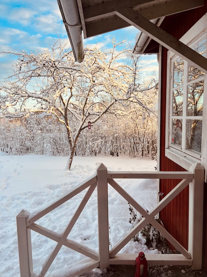 Stort Hus I Delsbo Hälsingland Nära Sjö & Skidor - Delsbo