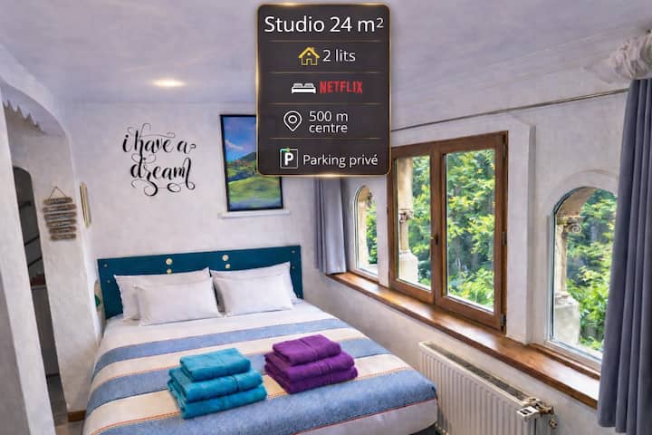 Studio Premium, 2 Lits, Près Centre, Parking, Clim - ibis Styles Albertville