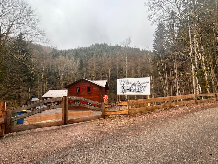 Chalet : Le Moulin Du Sagard - Forêt-Noire