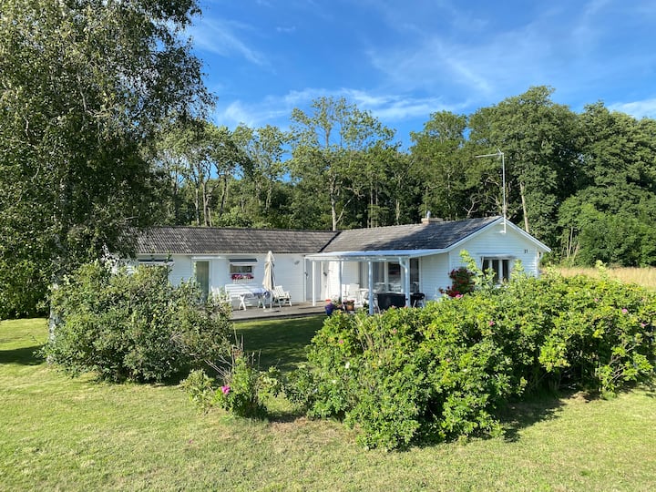 Idyll På Norra ÖLand - Öland