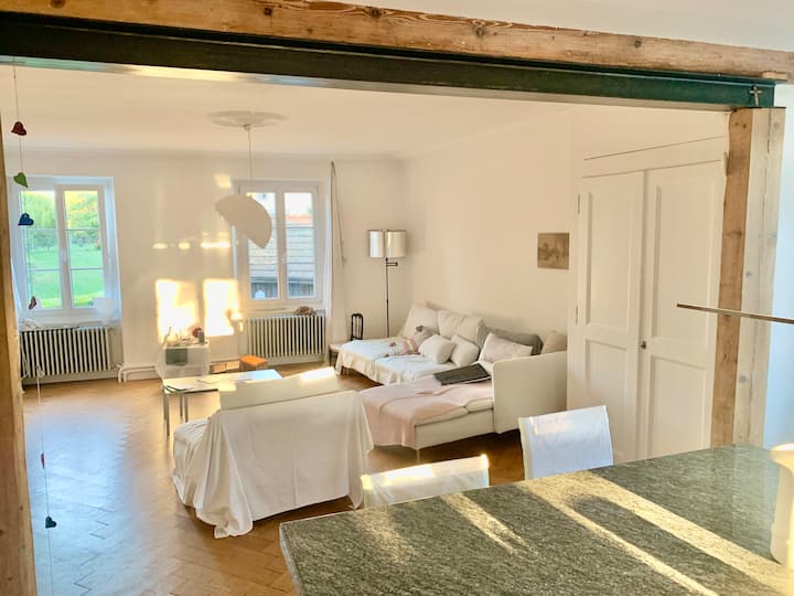 Authentique Maison Familiale (Nouveau : Cheminée!) - Lac Léman