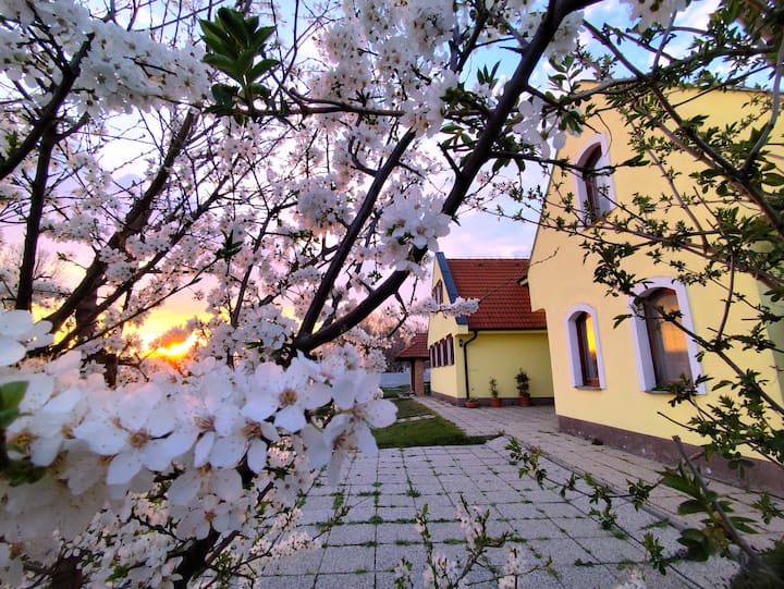 Charming Countryside Home On The Danube Cycle Path - Eslovaquia