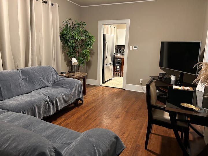 Cozy Apartment Near Downtown Detroit #1 - Hamtramck, MI