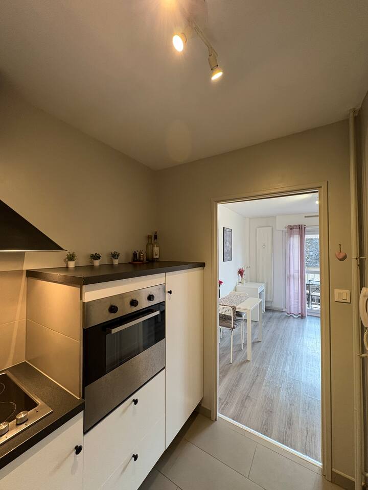 Studio Lumineux Dans Ancien Cronenbourg - Estrasburgo