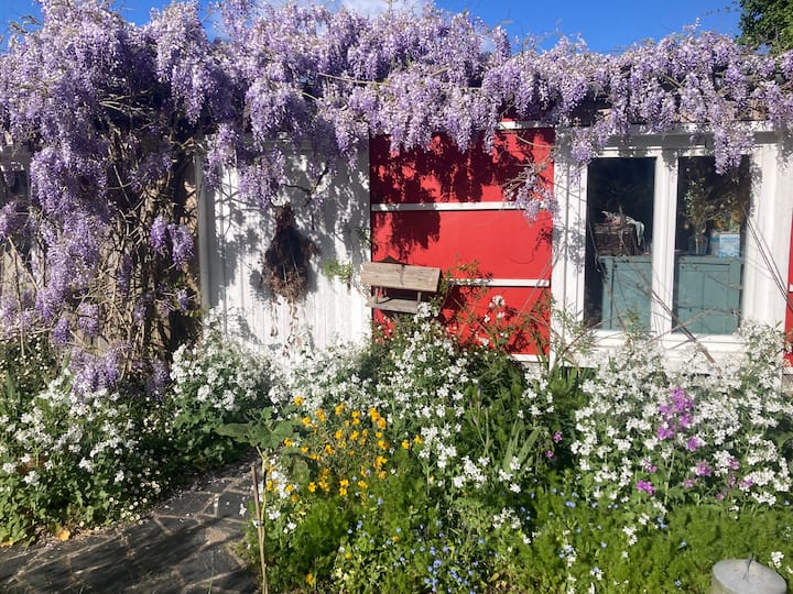 Accueil Camping Chez L'habitant - Paimpol