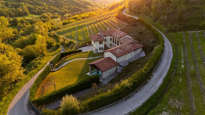 Prestigious Villa With Pool And Vineyards - Italy