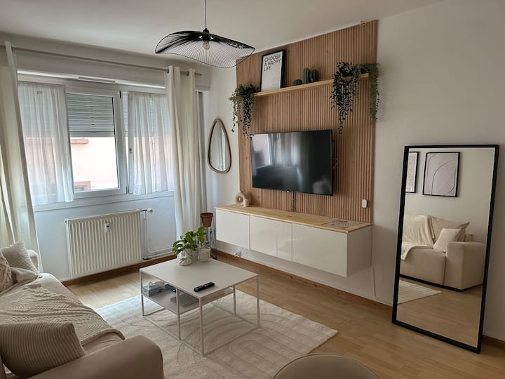 Grand Appartement Centre Cathédrale - Strazburg