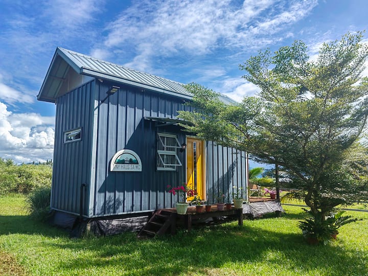 Tiny Haus Sa Mc - Valencia City