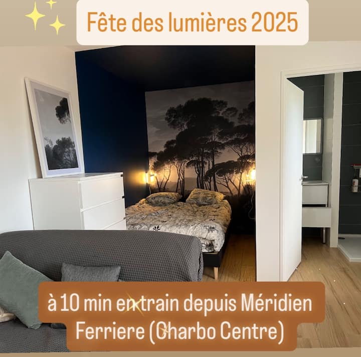 Studio Calme, Climatisé, Jardin & Parking - Champagne-au-Mont-d'Or