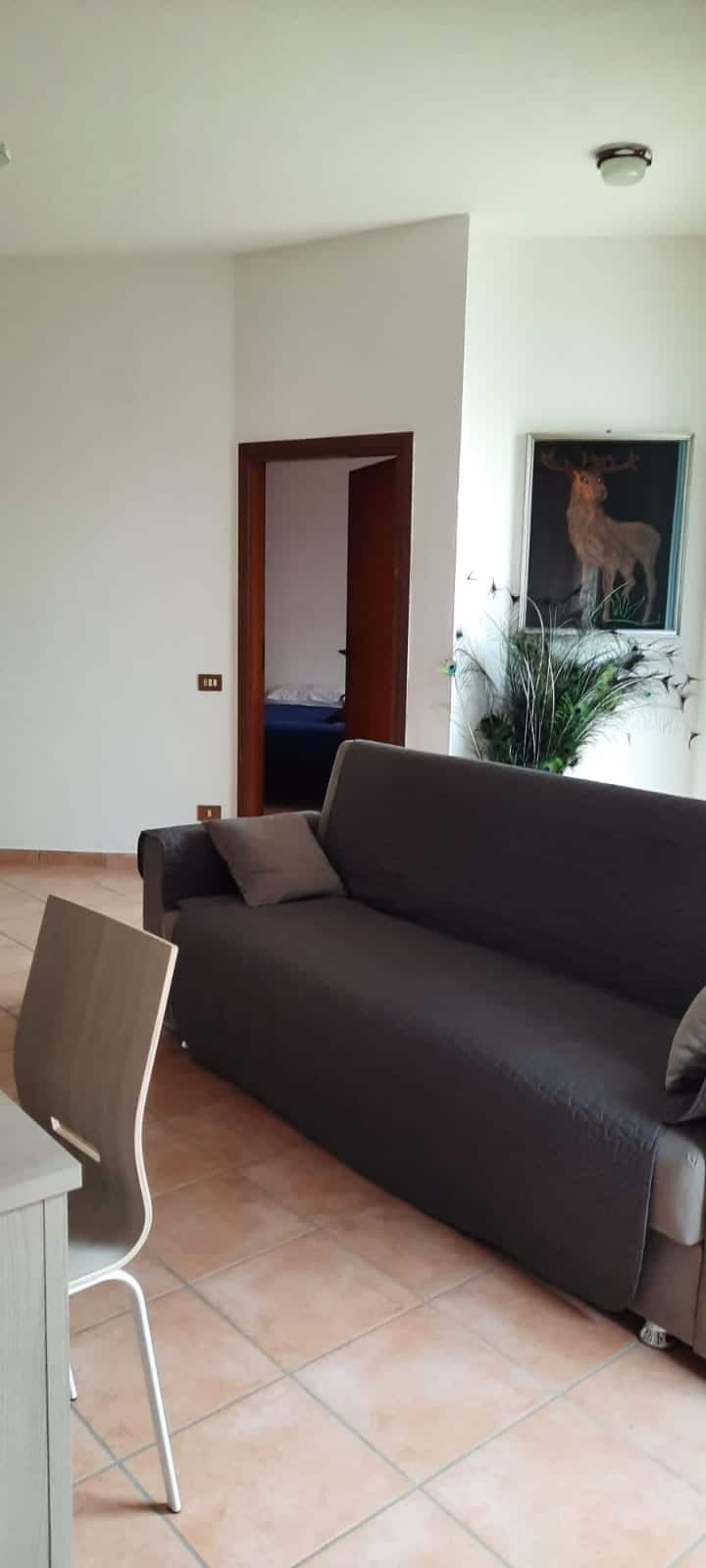 Appartamento Magna - Rimini