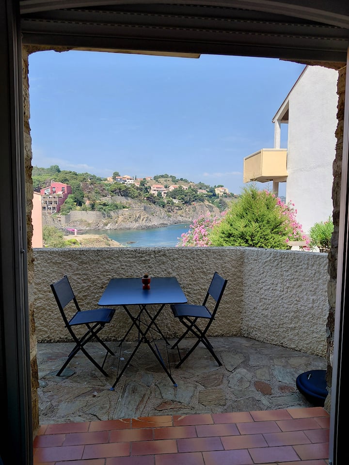 Appartement En Front De Mer - Collioure - Collioure