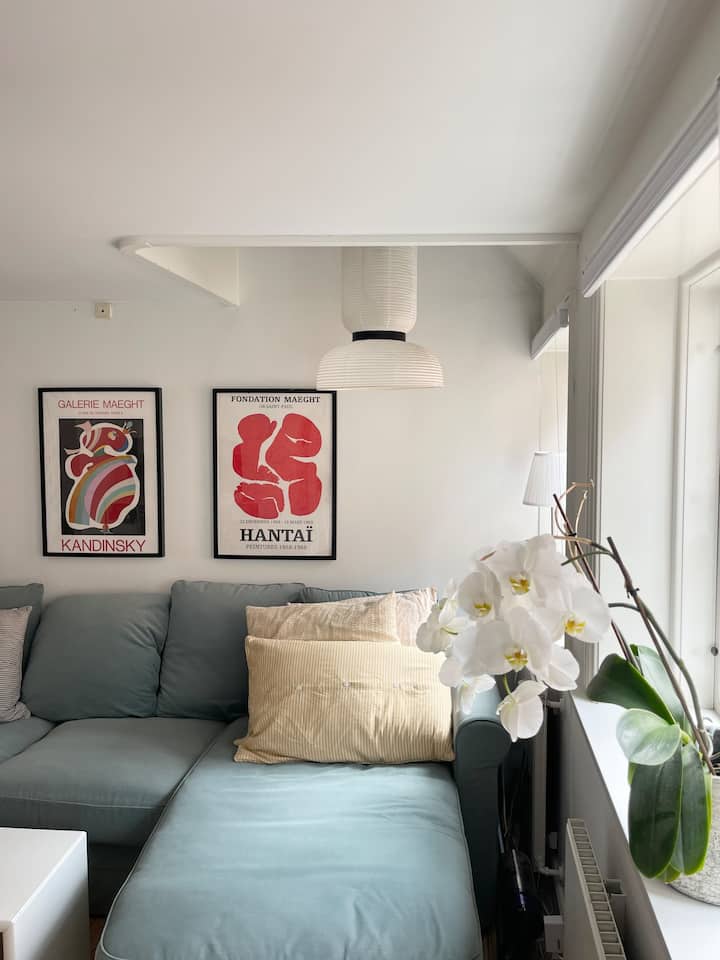 Lejlighed I Indre København - Copenhagen