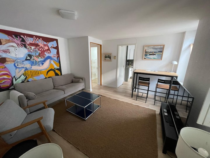 Beautiful Flat On The Grand Rue (2 Br) - Ferney-Voltaire