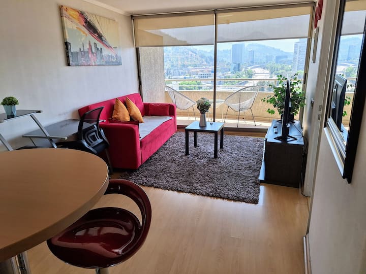 18 Luminoso Depto. Con Balcón Y Vista Paronamica - Providencia, Chile