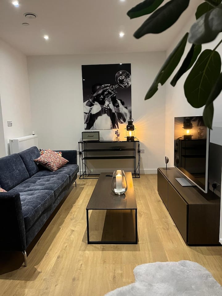 Beautiful One Bedroom Flat - London