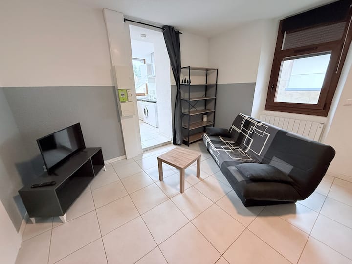 Grand Studio Au Fleyset - Thonon-les-Bains