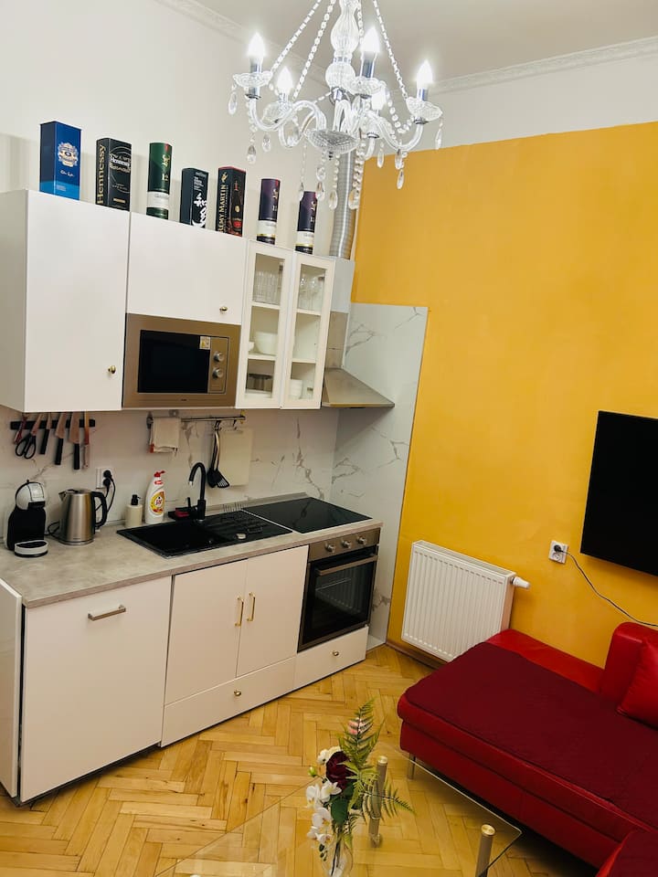 Beautiful Apartment In The Center Of Prague - Praga