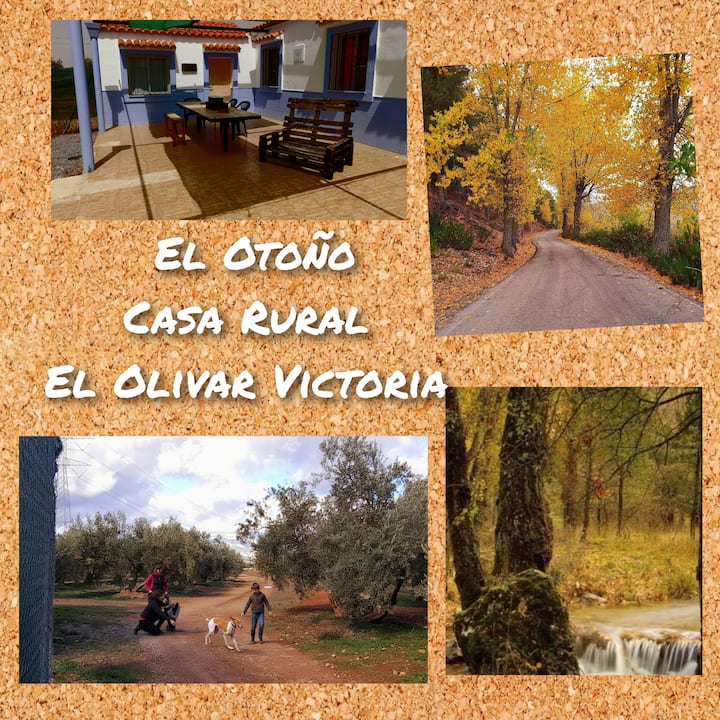 Sierra De Cazorla
Una Experiencia Holistica. - Sierra de Cazorla