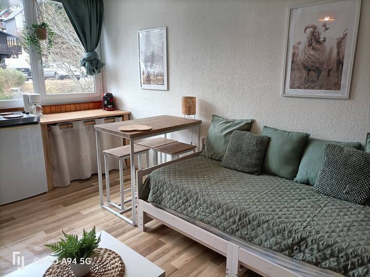 Studio Cosy Pour Deux - Besse-et-Saint-Anastaise