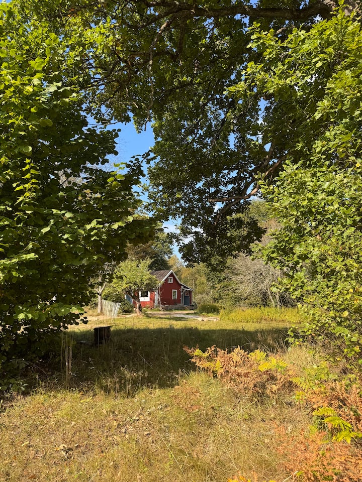 Your Own Little Summer Oasis - Växjö