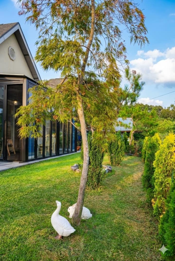 설향이야기 옥천#촌캉스#독채#프리미엄숙소#호텔침구#감성숙소#애견동반#시골살기#바베큐 - 옥천읍