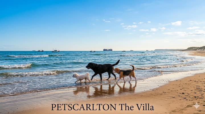 海30秒！さらに大きく広く快適に！ゴージャスな3件目完成【petscarlton Thevilla】 - 鉾田市