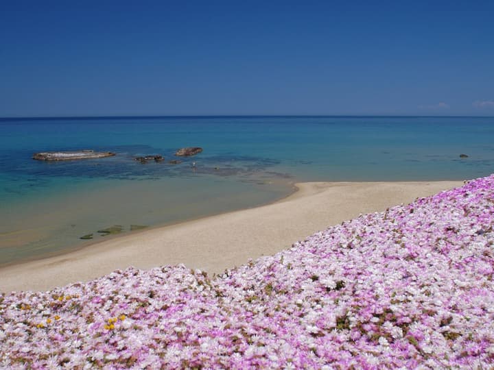 Three-room Penthouse With Stunning Sea View - Castelsardo