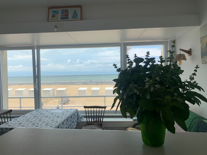 Charmant Appartement Op Zeedijk - De Panne