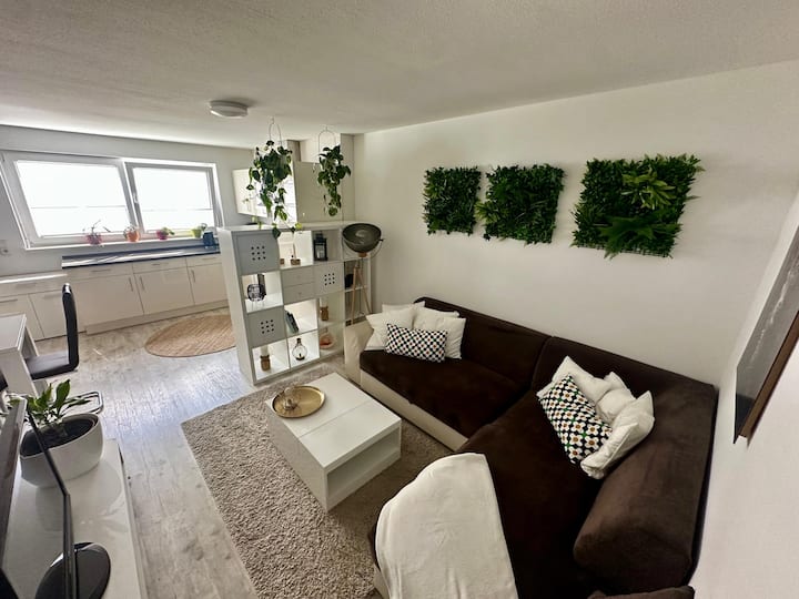 Moderne, Helle 2-zimmer Soutterain-wohnung - Durbach