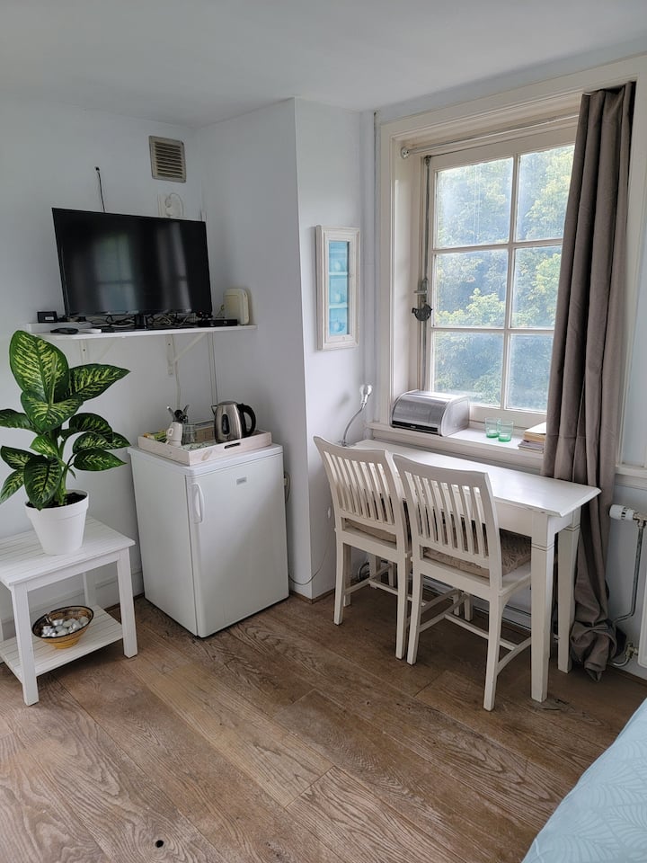 Spacious Room With Private Bathroom - Amsterdam
