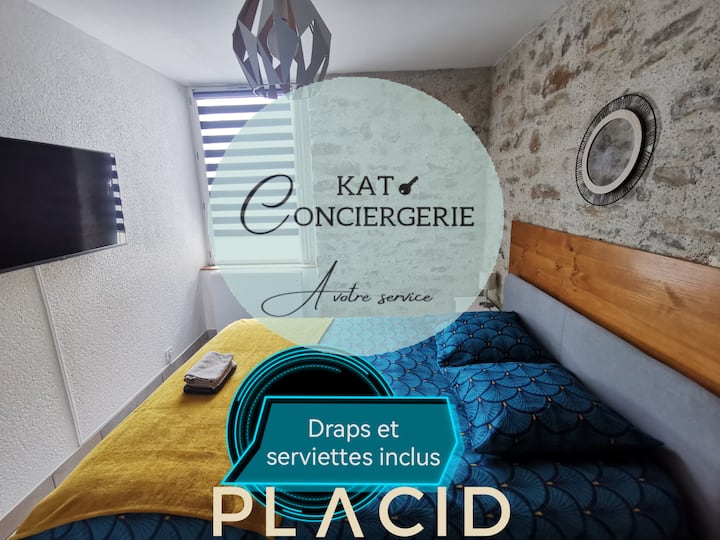 Charmant 3 Pièces- Vannes Centre Avec Parking - Vannes