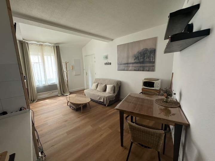 T2 *Hypercentre* Bord De Garonne - Toulouse