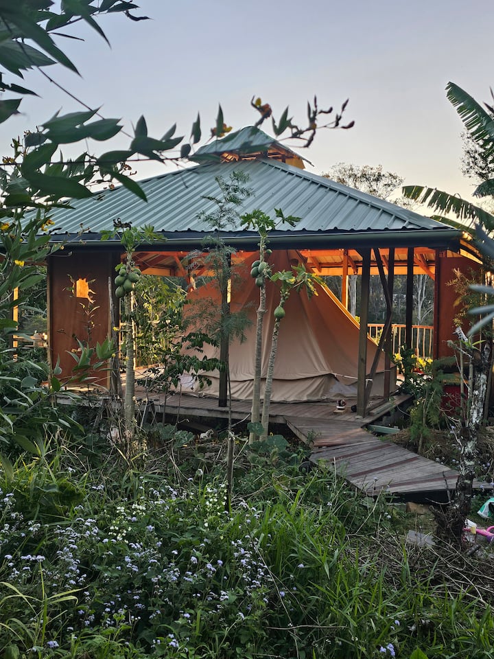 Glamping In Petit Paradise - Noosa Shire