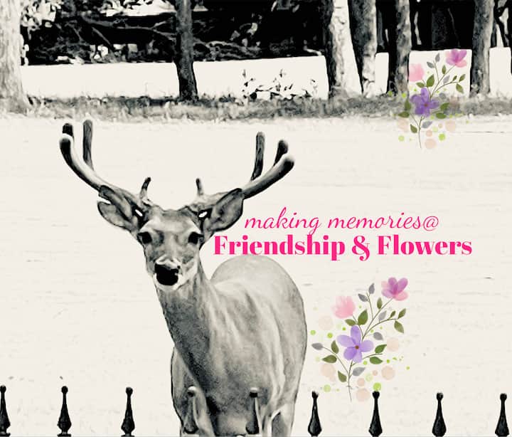 Making Memories @
Friendship & Flowers - Salado, TX