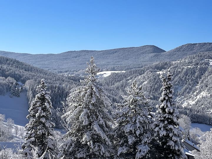 Appartement Villard-de-lans - Lans-en-Vercors