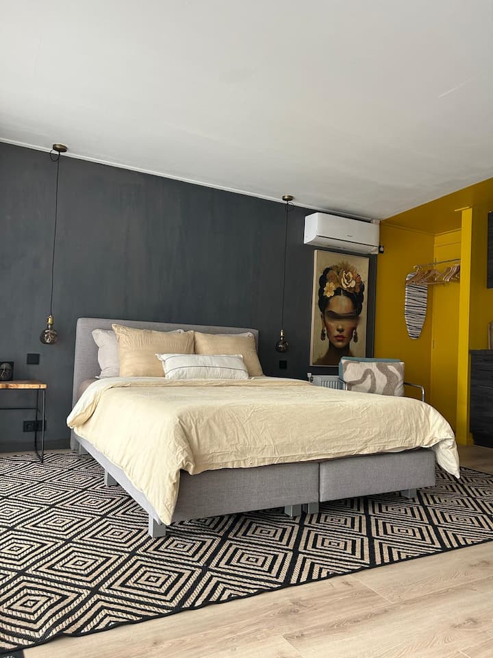 Moderne Studio Op De Westzijde - Zaandam