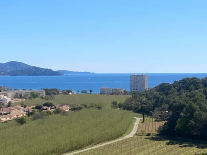 Vue Mer Exceptionnelle Parc  Clim Reversible - Le Lavandou