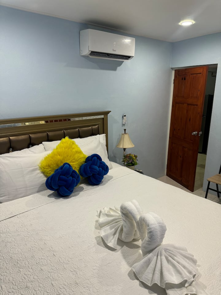 Lovely Stylish Apartment - Barbados