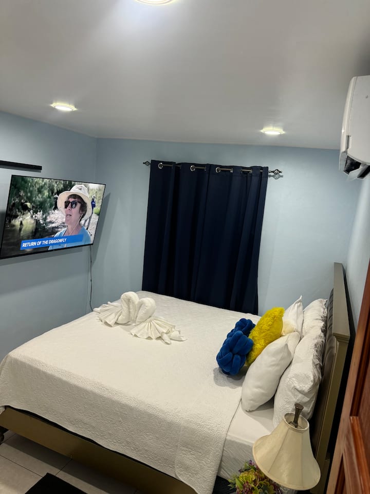 Lovely Stylish Apartment - Bridgetown, Barbados