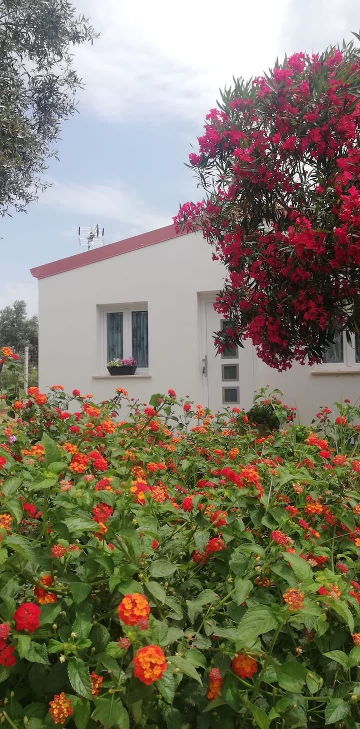 Casa Vacanze Le Castella Eden - Calabria