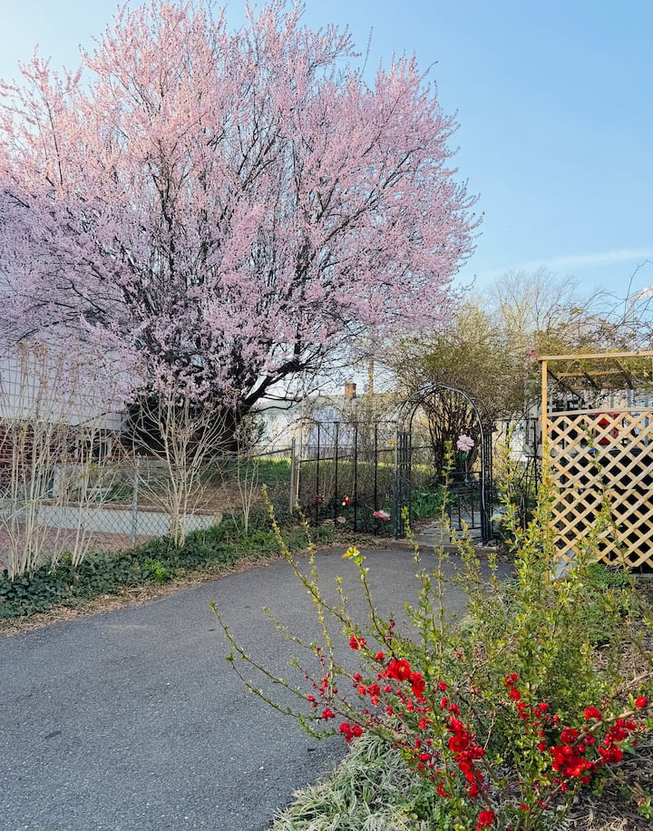 Spacious Family-friendly Basement W/ Coffee Bar - Kensington, MD